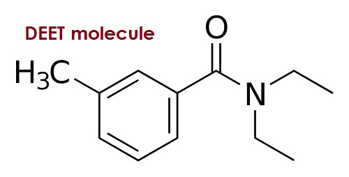 Mosquito Season is Here! | Berings