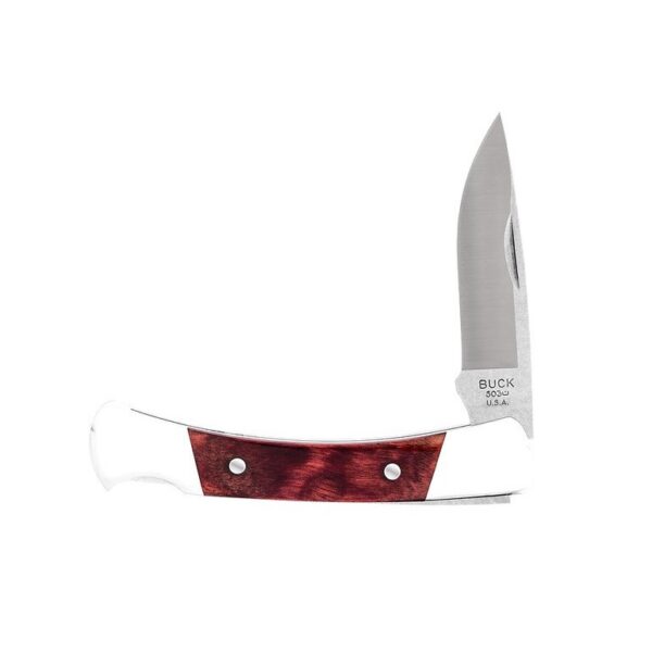 Buck 503 Prince Pocket Knife | Berings