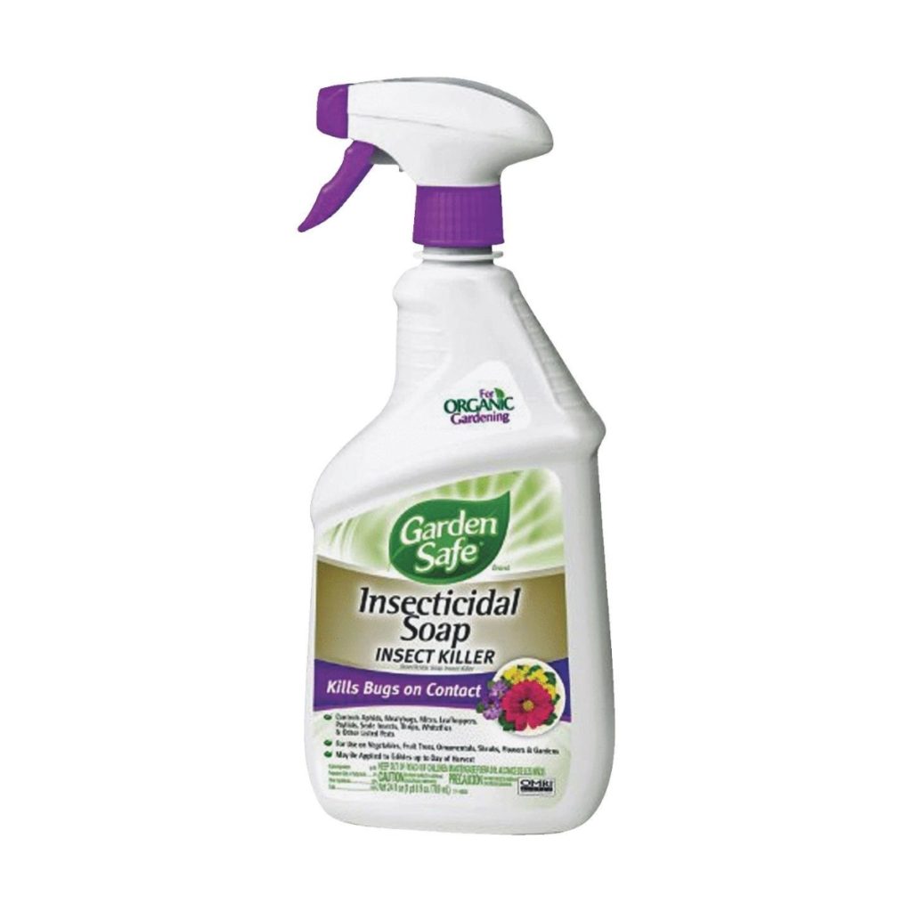 Garden Safe Insecticidal Soap | Berings
