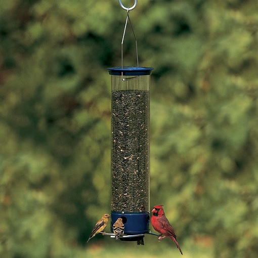 Droll Yankee Whipper Bird Feeder | Berings