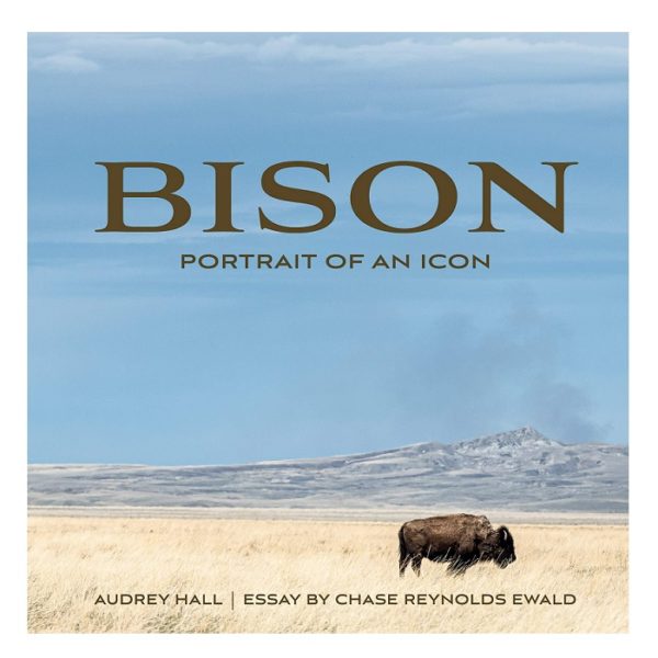 Bison: Portrait of an Icon (Hardcover) | Berings