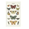 Cavallini & Co. Butterflies Cotton Tea Towel | Berings