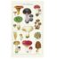 Cavallini & Co. Mushrooms Cotton Tea Towel | Berings