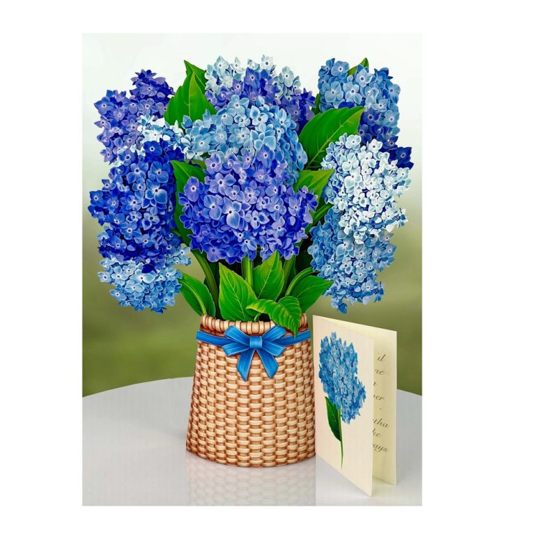 Nantucket Hydrangeas Pop Up Flower Bouquet | Berings