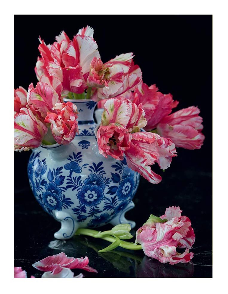 Tulips: Beautiful Varieties for Home and Garden Hardcover | Berings