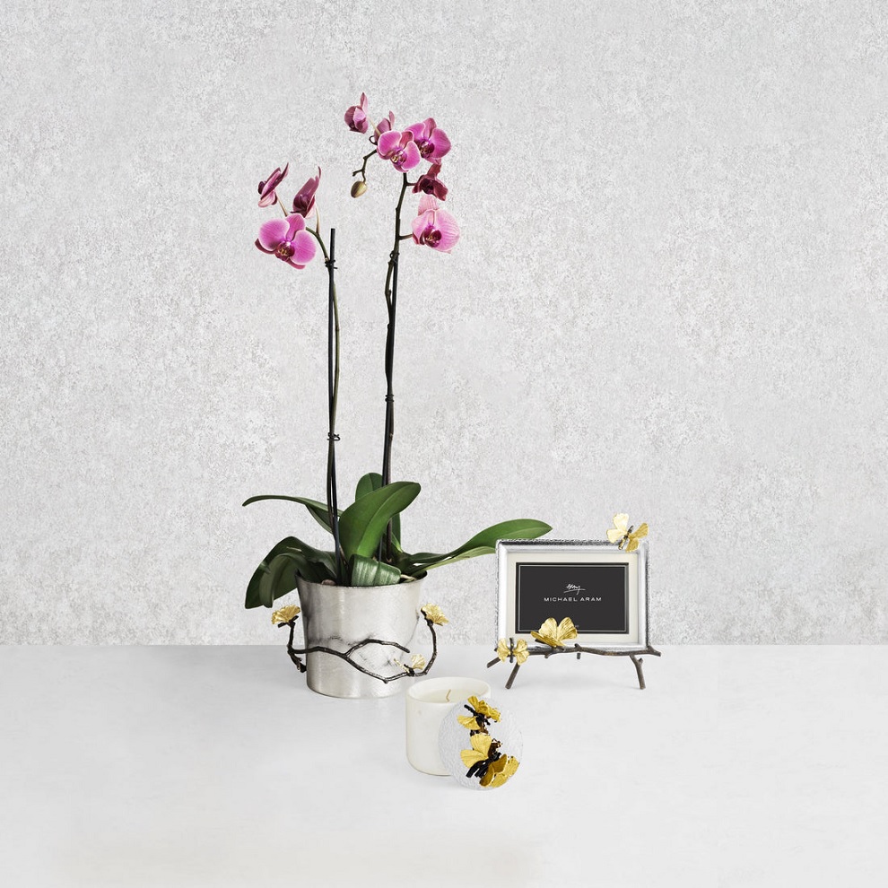 Michael Aram Butterfly Ginkgo Cachepot | Berings