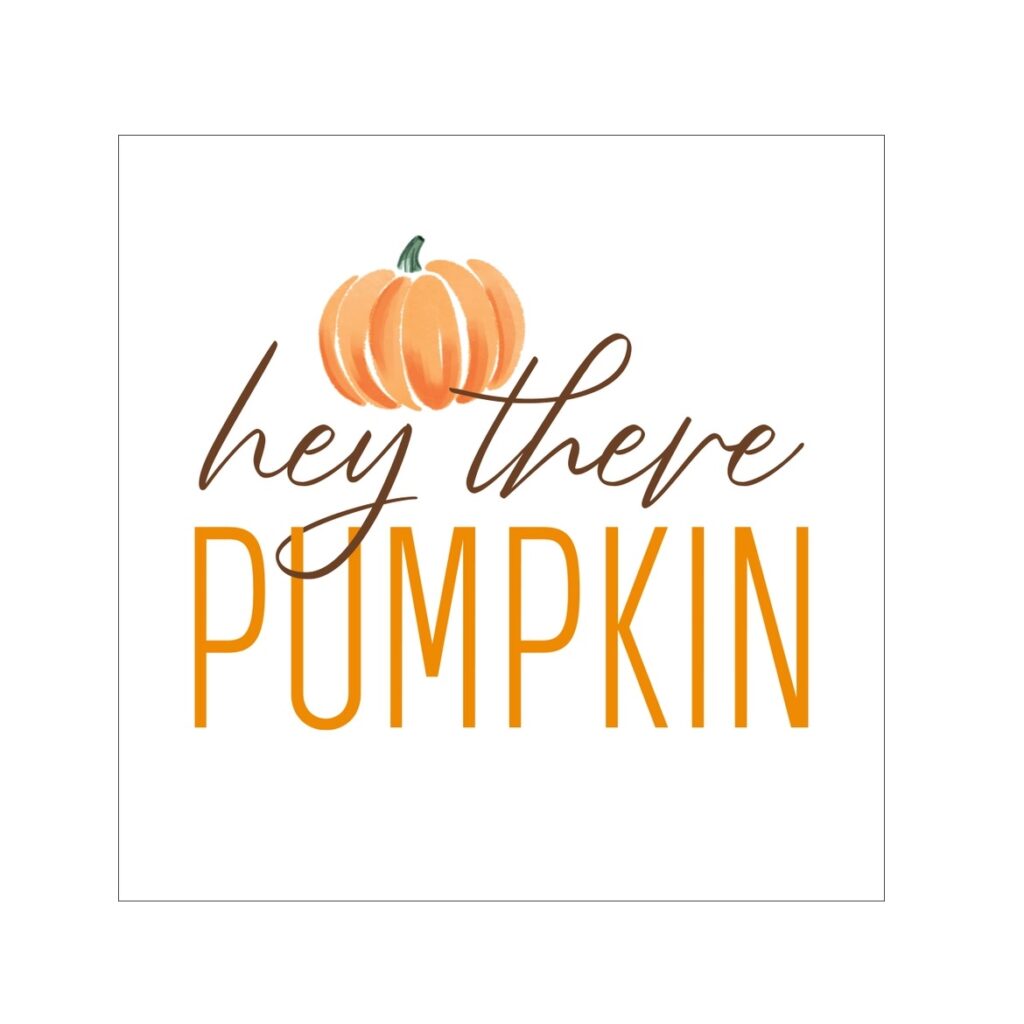 Hey There Pumpkin Cocktail Napkins | Berings