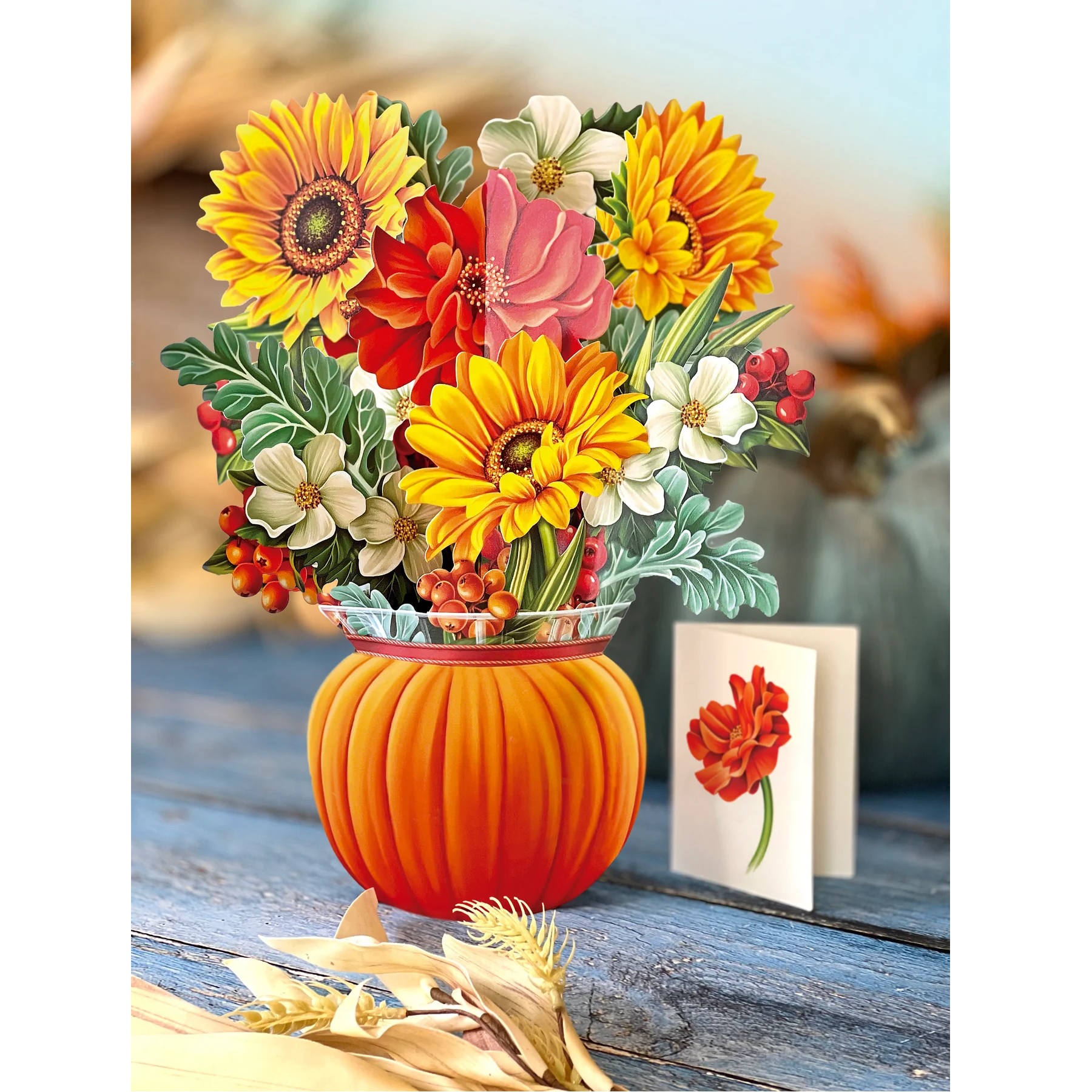 FreshCut Paper Pop Up - Pumpkin Harvest | Berings