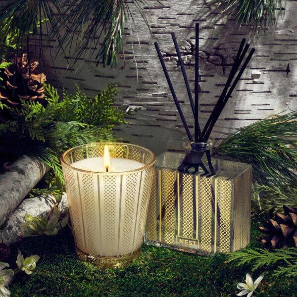 Nest Birchwood Pine Reed Diffuser | Berings