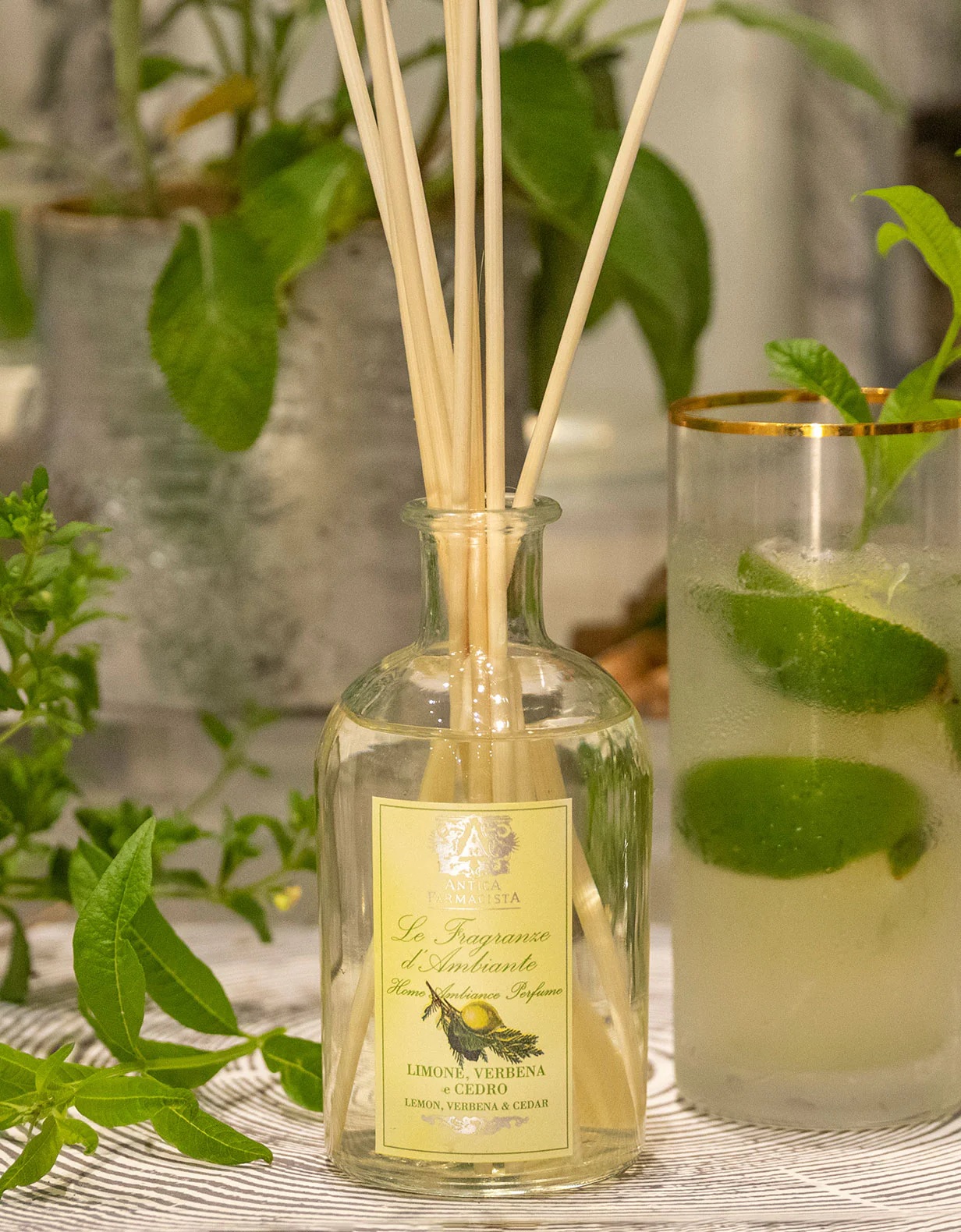 Antica Farmacista 250ml Lemon, Verbena & Cedar Reed Diffuser | Berings
