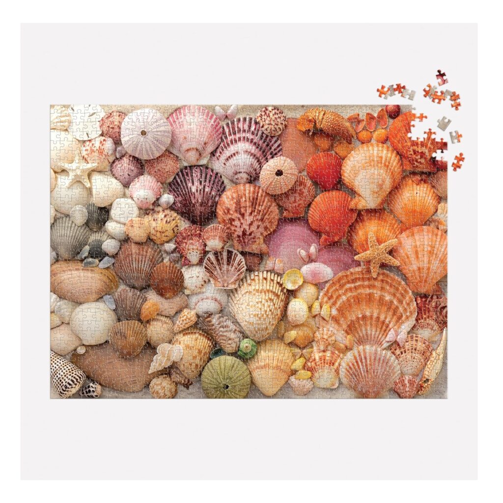 Vibrant Seashells – 1000 Piece Puzzle | Berings