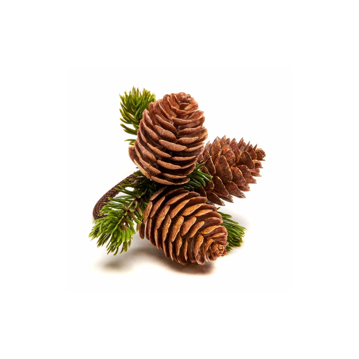Deborah Rhodes Brown Cone Cluster Napkin Ring | Berings