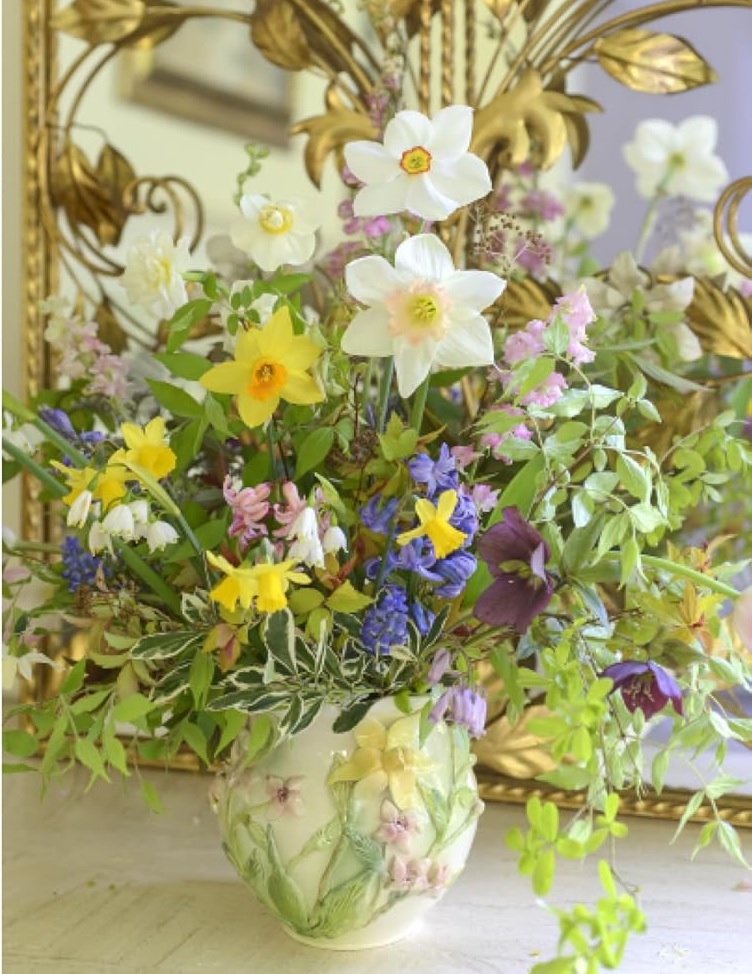 Daffodils: Beautiful Varieties for Home and Garden (Hardcover) | Berings