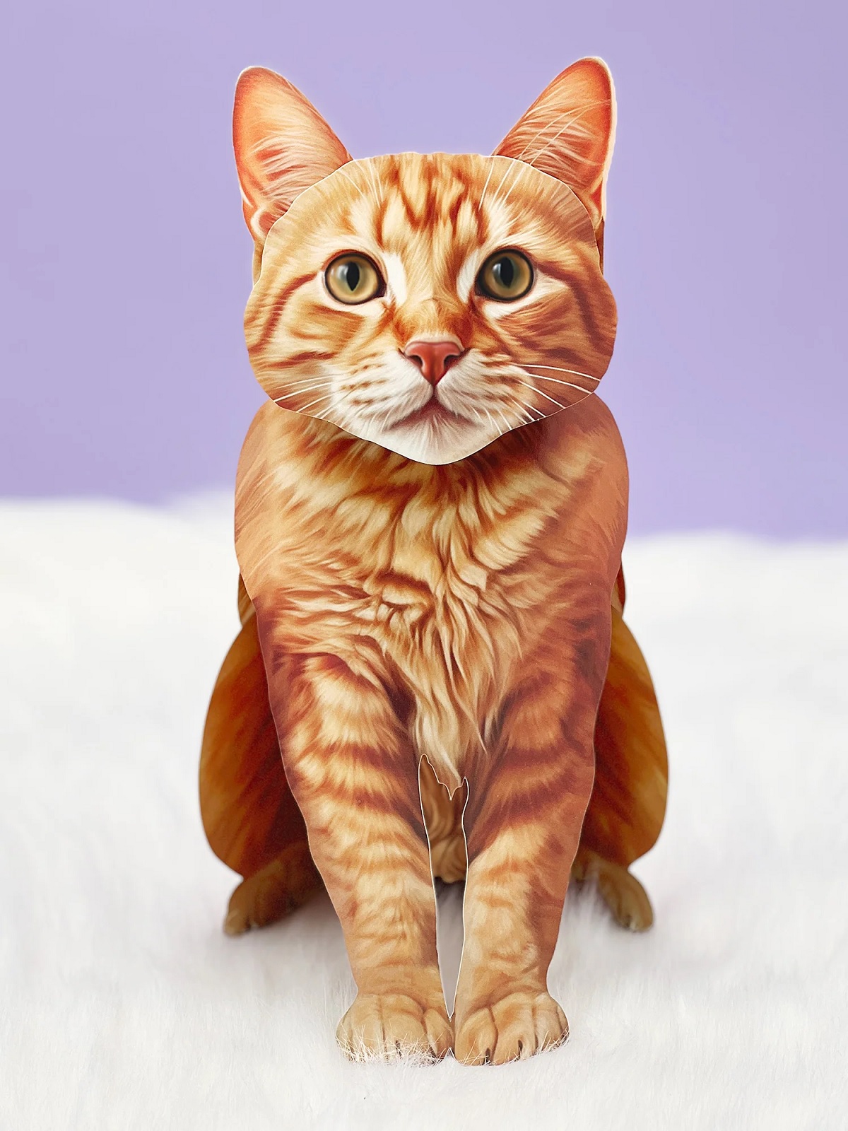 Orange Tabby Cat Pop-Up Card | Berings
