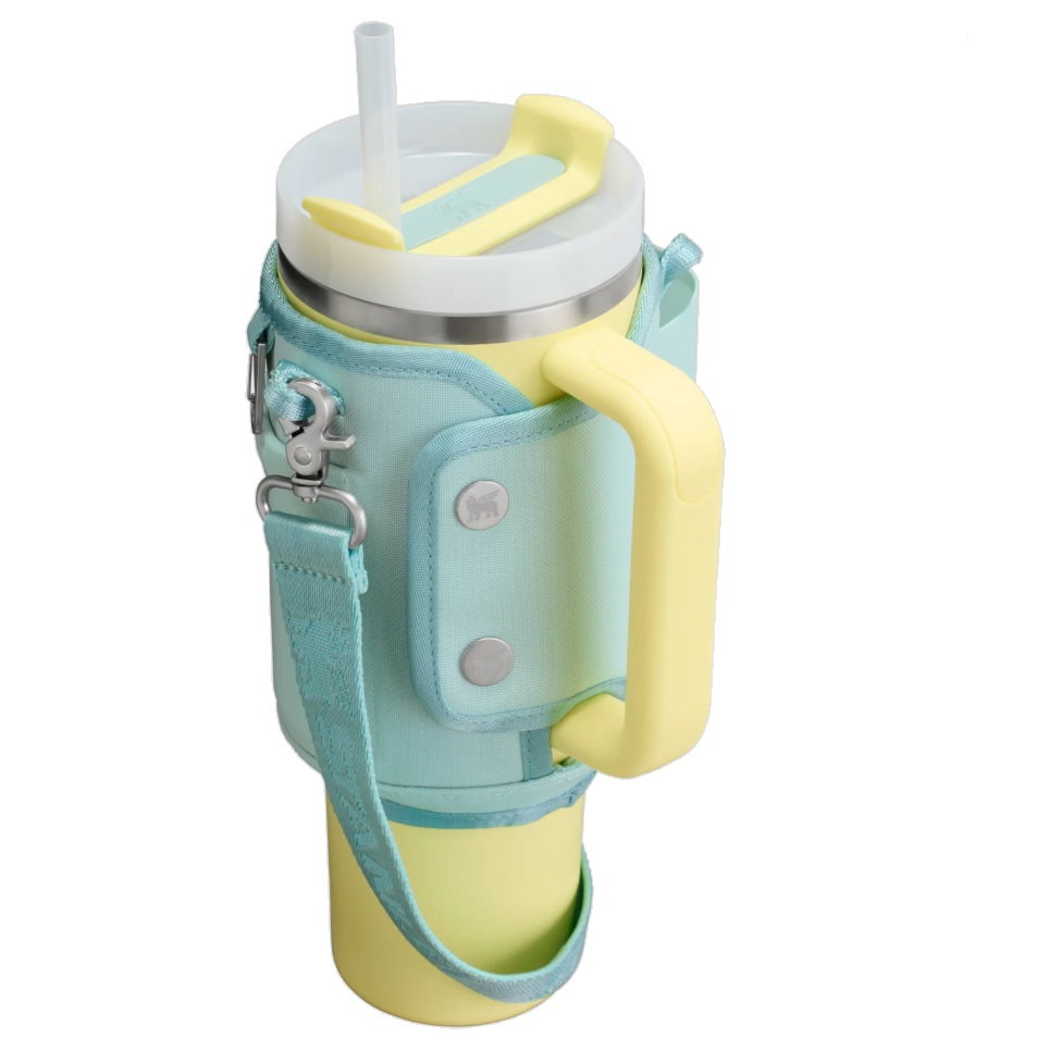 Stanley The All Day 40 OZ Quencher Carry-All - Mist | Berings