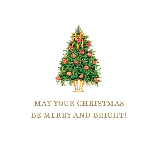 Graphique Christmas Tree Trio Large Signature Holiday Boxed Card | Berings